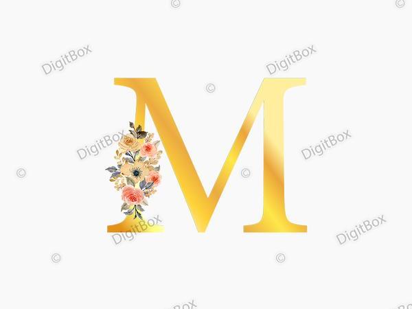 عکس حرف انگلیسی M دیجیت باکس Digitbox