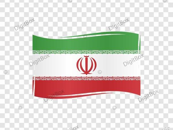 عکس مشت با طرح پرچم ایران دیجیت باکس Digitbox