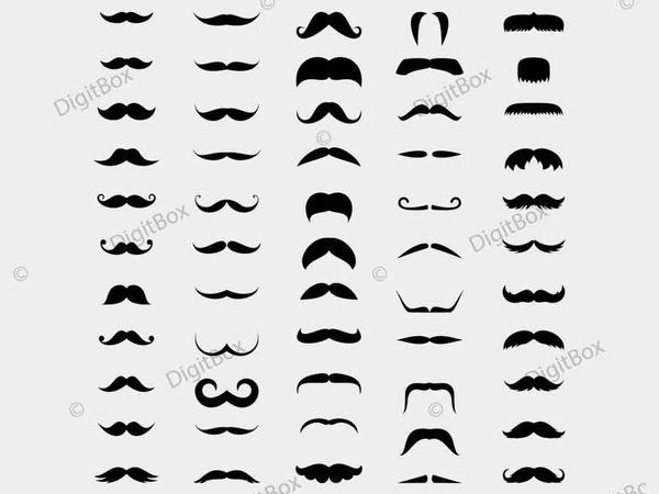 دانلود وکتور سیبیل - DigitBox